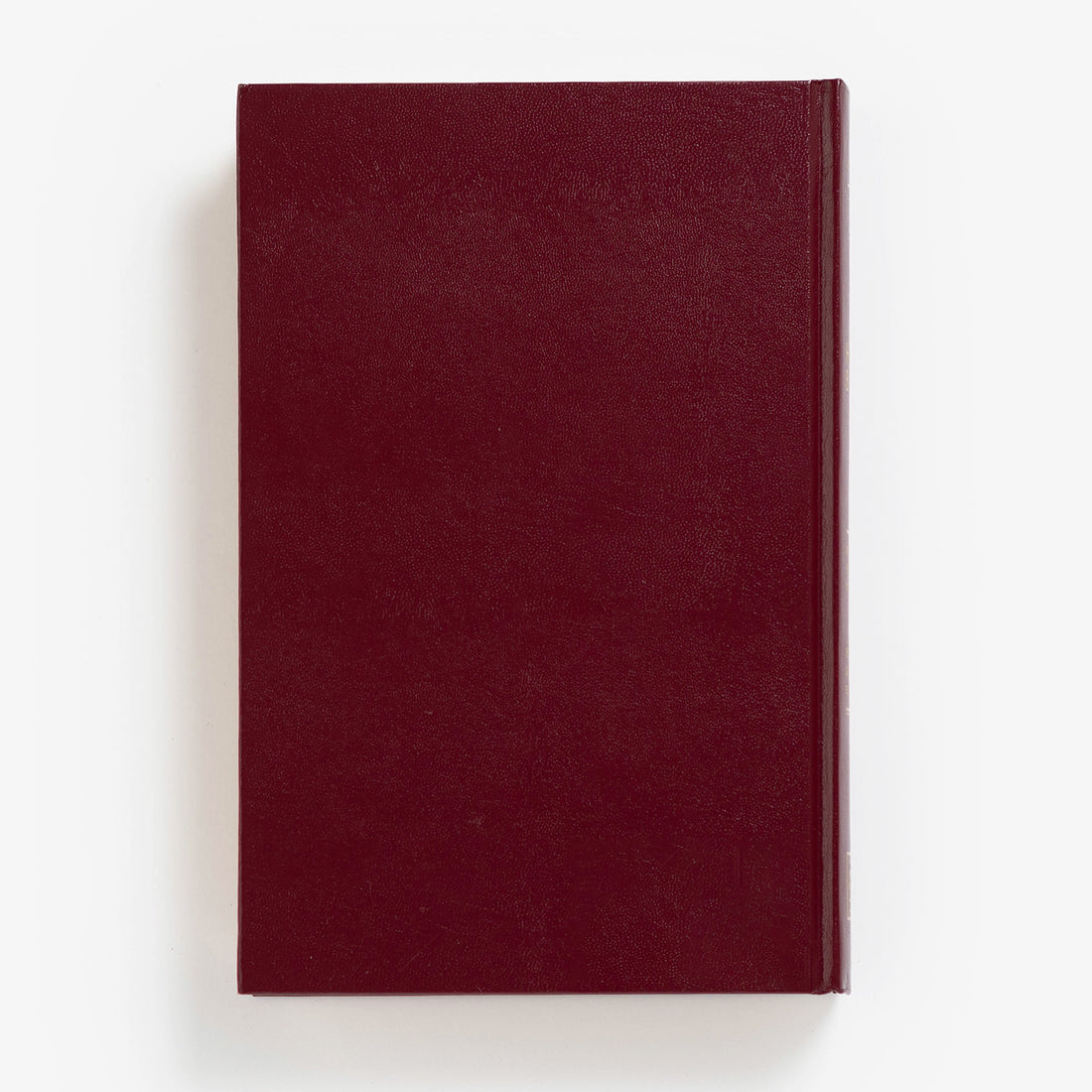 The Holy Bible: RSVCE (Revised Standard Version - Catholic Edition)