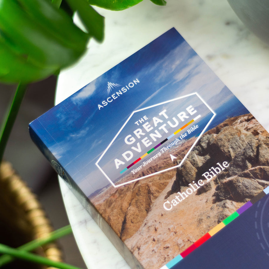 The Great Adventure Catholic Bible 2nd Edition